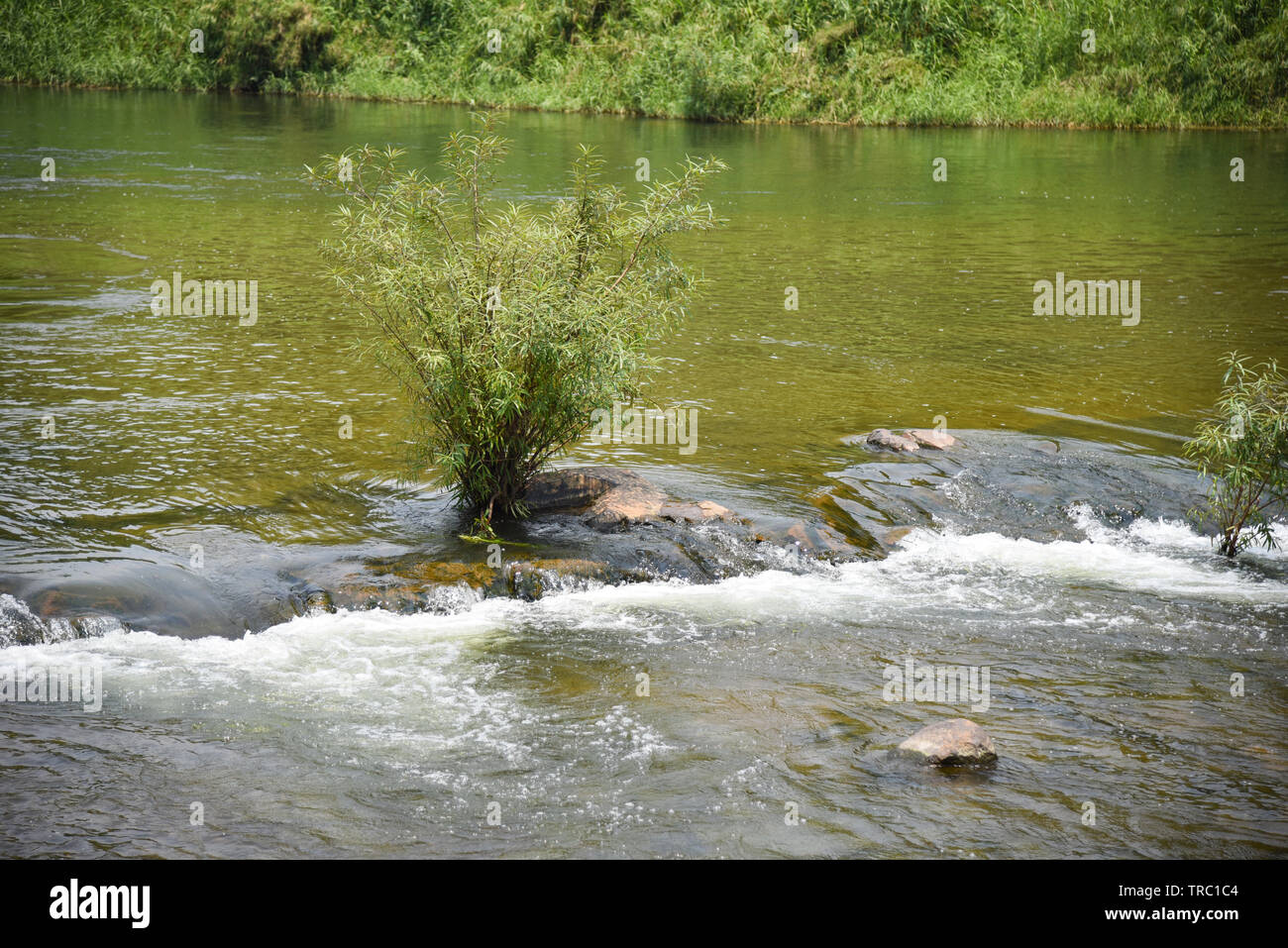 Lanscape river water stream from mountain asia Stock Photo - Alamy