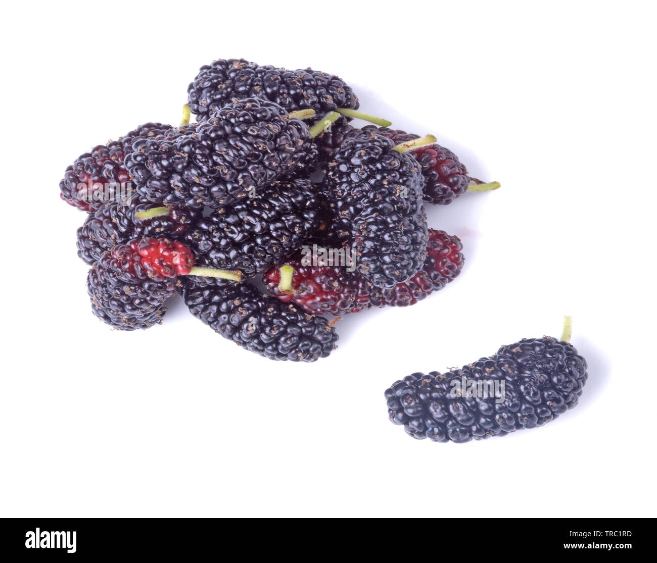 Black mulberry fruit morus nigra Cut Out Stock Images & Pictures - Alamy