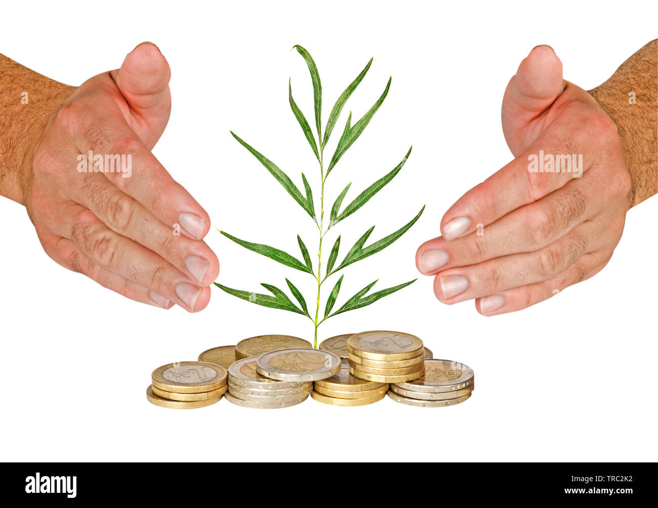 Money growing hands planting coins hi-res stock photography and images ...