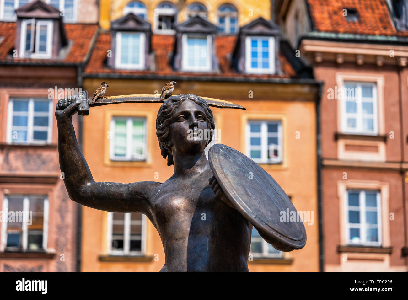 Mermaid of Warsaw defending the capital city of Poland with sword and ...