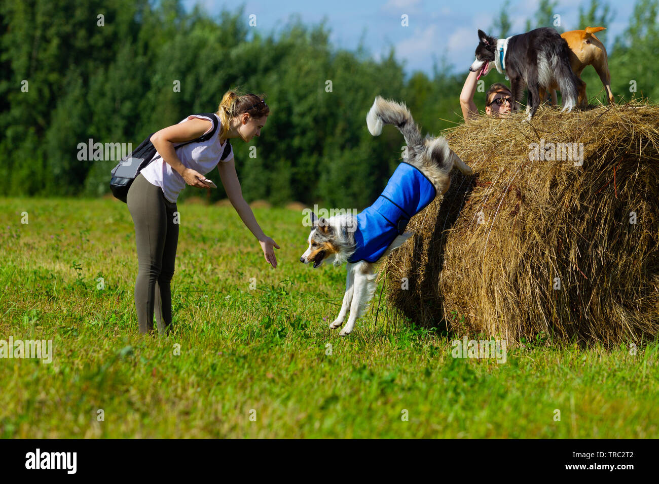 Stroll around park hi-res stock photography and images - Alamy