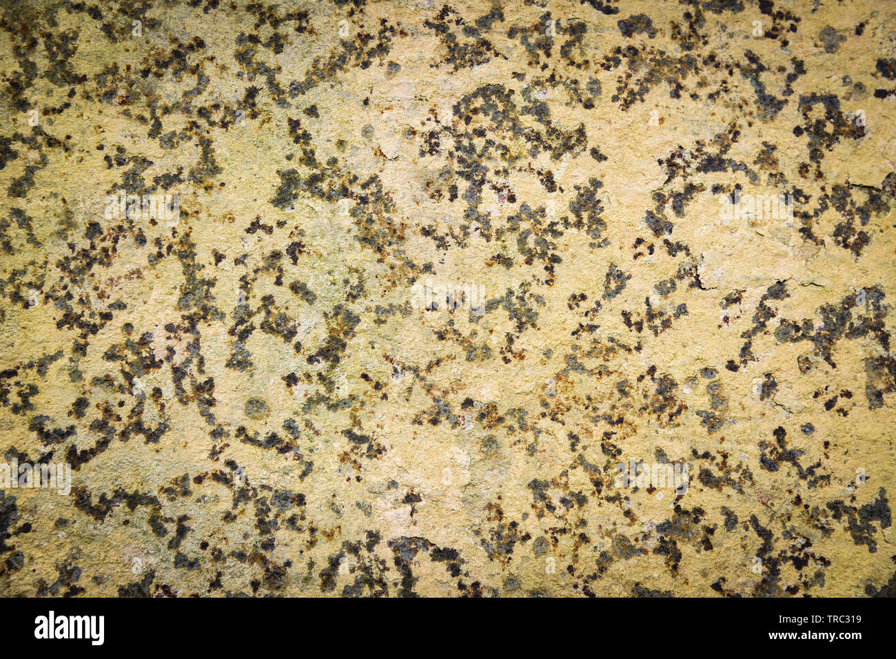 old rusty metal background / yellow brown rustic iron plate patina ...