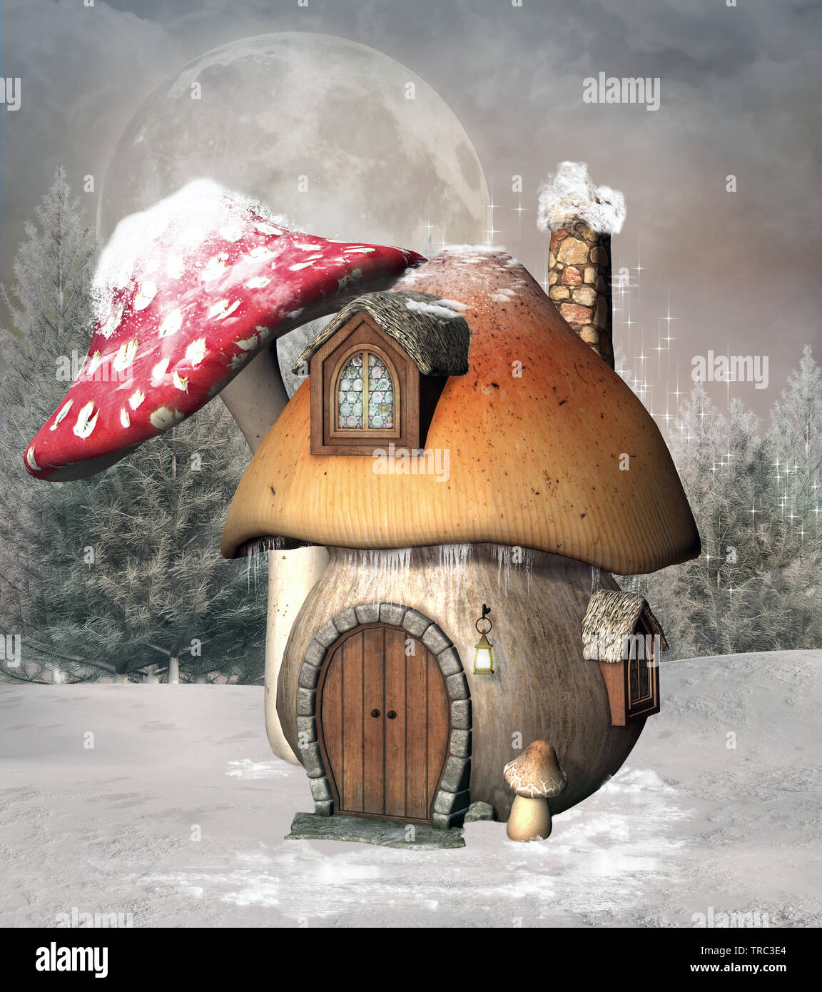 What Is A Mushroom House at Karen Cutright blog