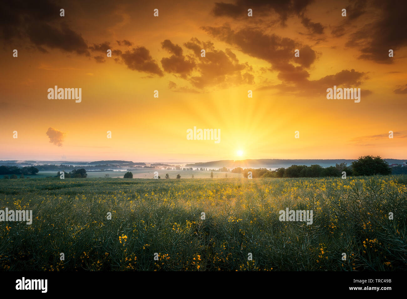 Farmland above hi-res stock photography and images - Alamy