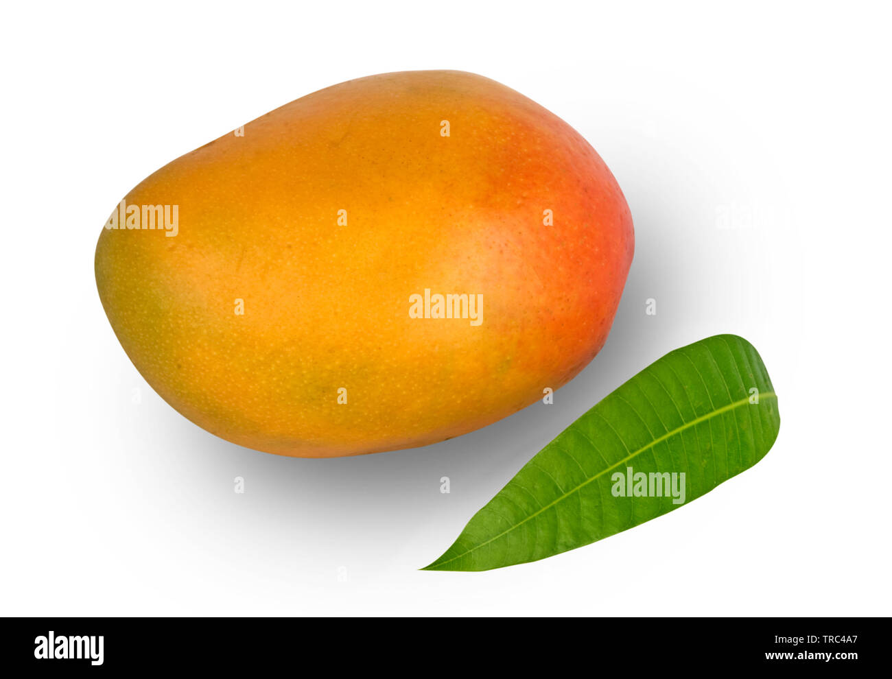 Mango on leaves isolated on white background Stock Photo - Alamy