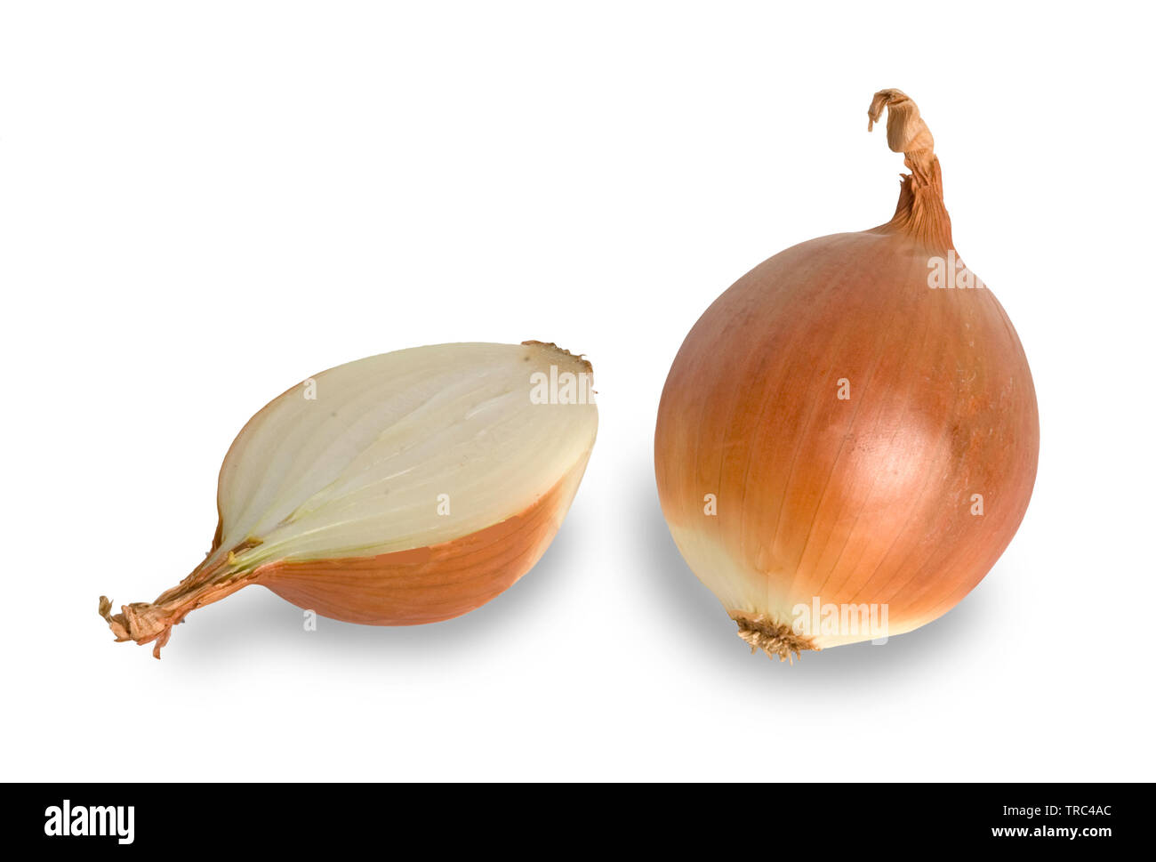 onions isolated on white background Stock Photo - Alamy