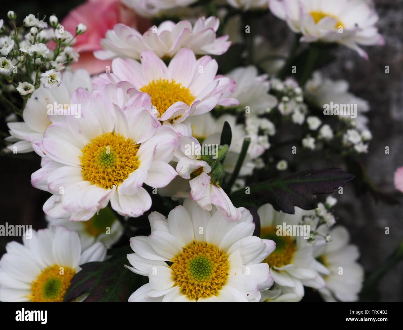Flower bouquet close up Stock Photo - Alamy