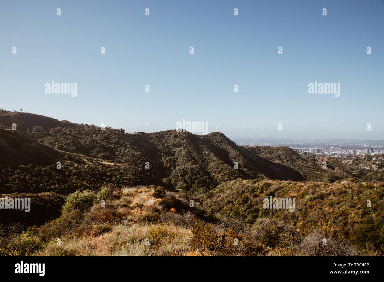 View From Brush Canyon Trail To The Hollywood Sign Stock Photo - Alamy