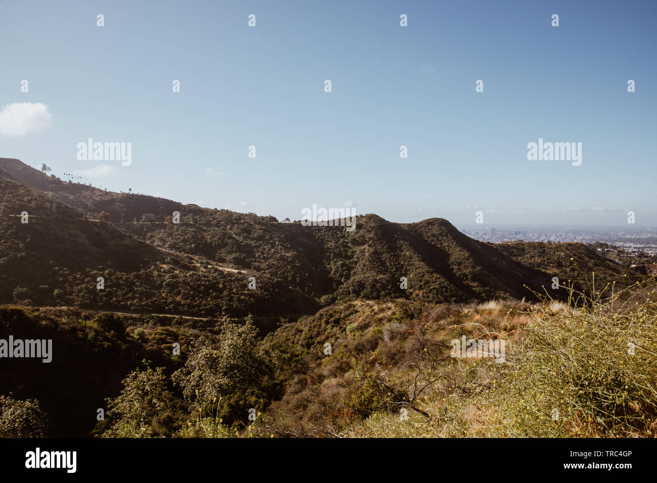 View From Brush Canyon Trail To The Hollywood Sign Stock Photo - Alamy