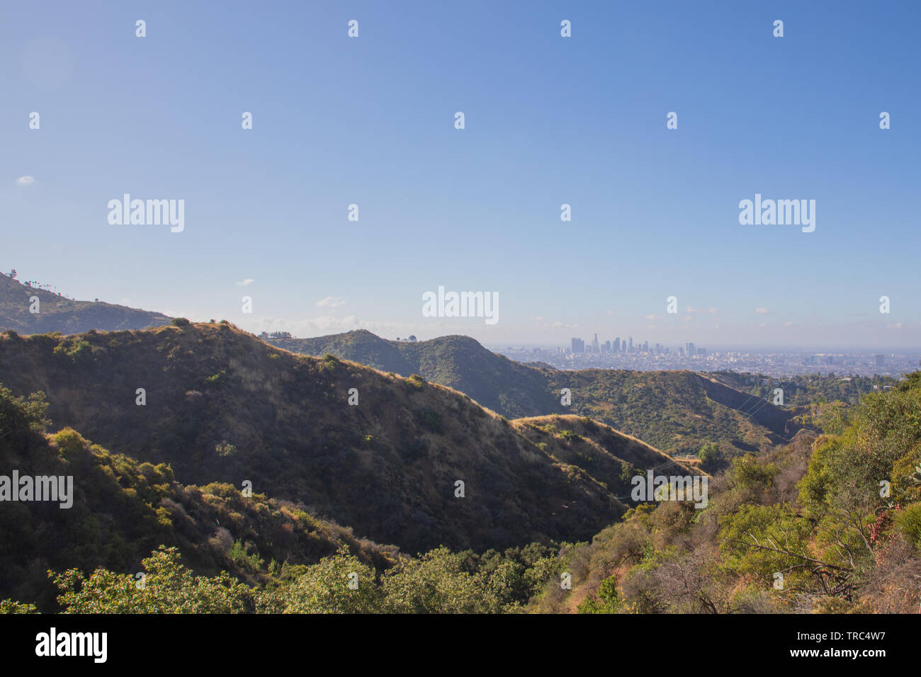 View From Brush Canyon Trail To The Hollywood Sign Stock Photo - Alamy