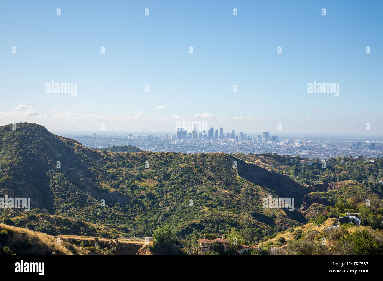 View From Brush Canyon Trail To The Hollywood Sign Stock Photo - Alamy