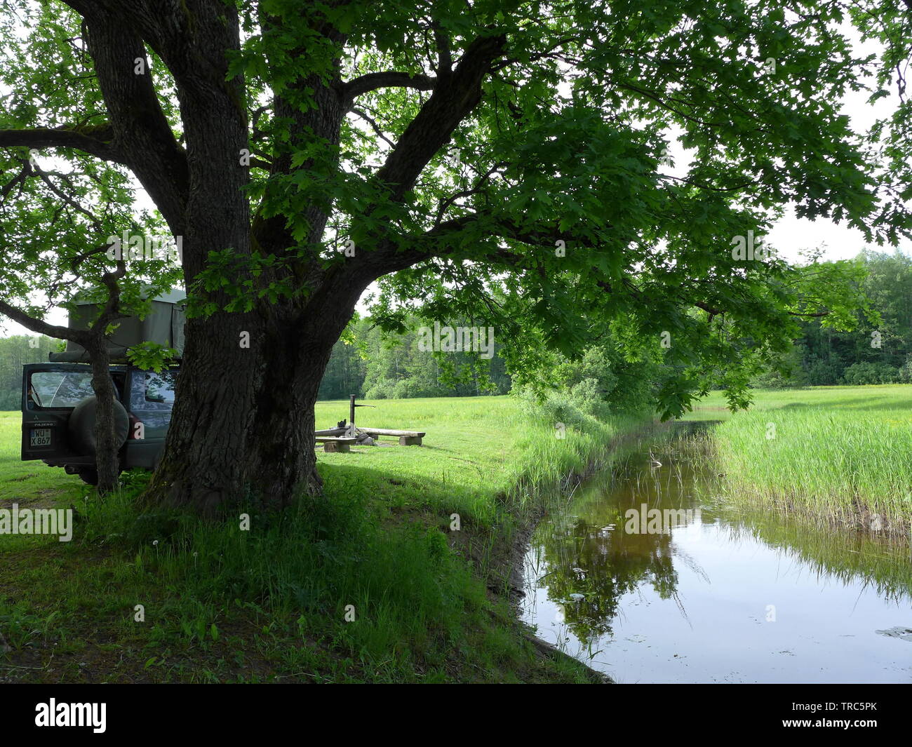 pure landscape in Soomaa nationalpark Stock Photo - Alamy