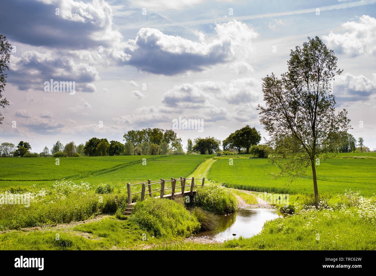 Essex way footpath hi-res stock photography and images - Alamy