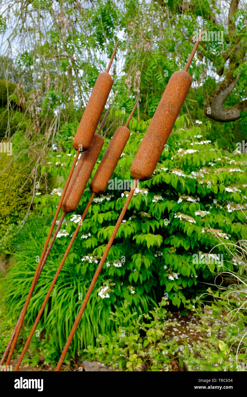 Bull rushes hi-res stock photography and images - Alamy