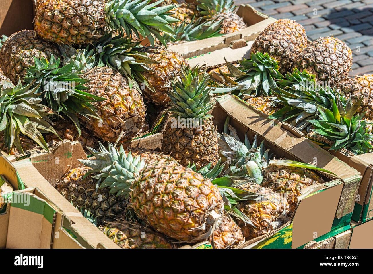 cardboard boxes full of fresh pineapples on the market Stock Photo - Alamy