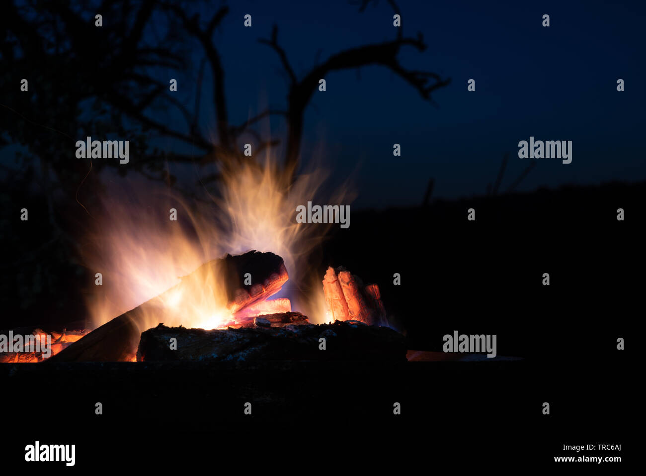 The flames of a campfire at dusk on safari in Africa, Hluhluwe-iMfolozi ...