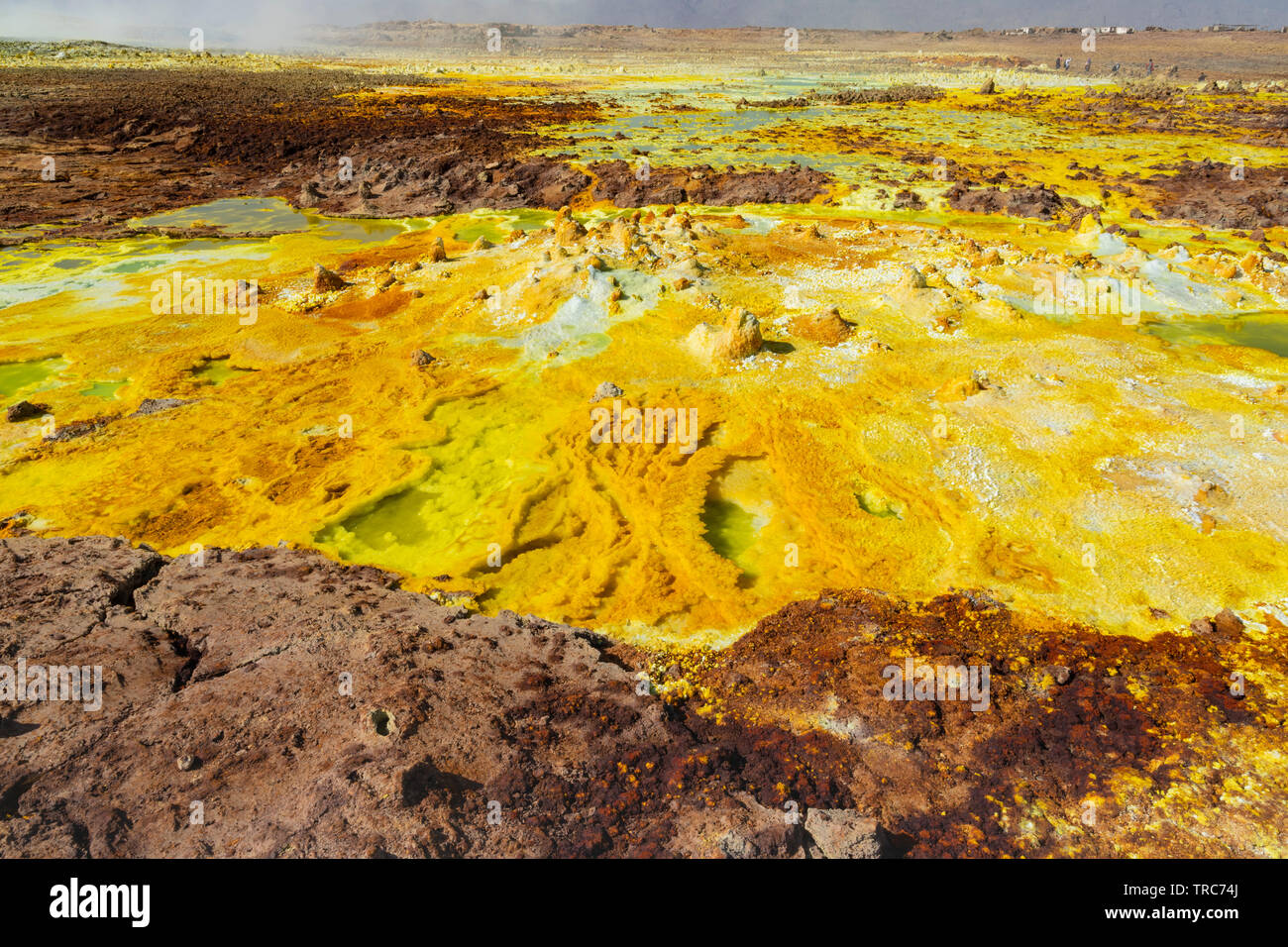 Acid ponds in Dallol site in the Danakil Depression in Ethiopia, Africa ...