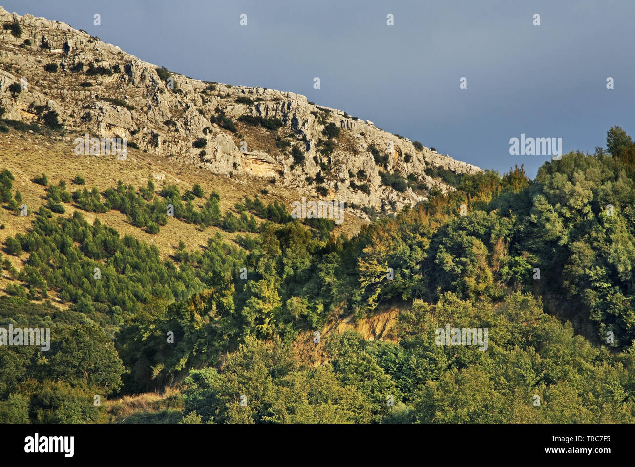 Landscape near Elea village. Greece Stock Photo - Alamy