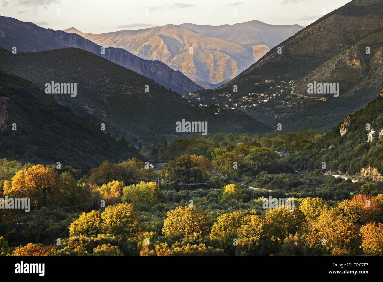 Landscape near Elea village. Greece Stock Photo - Alamy
