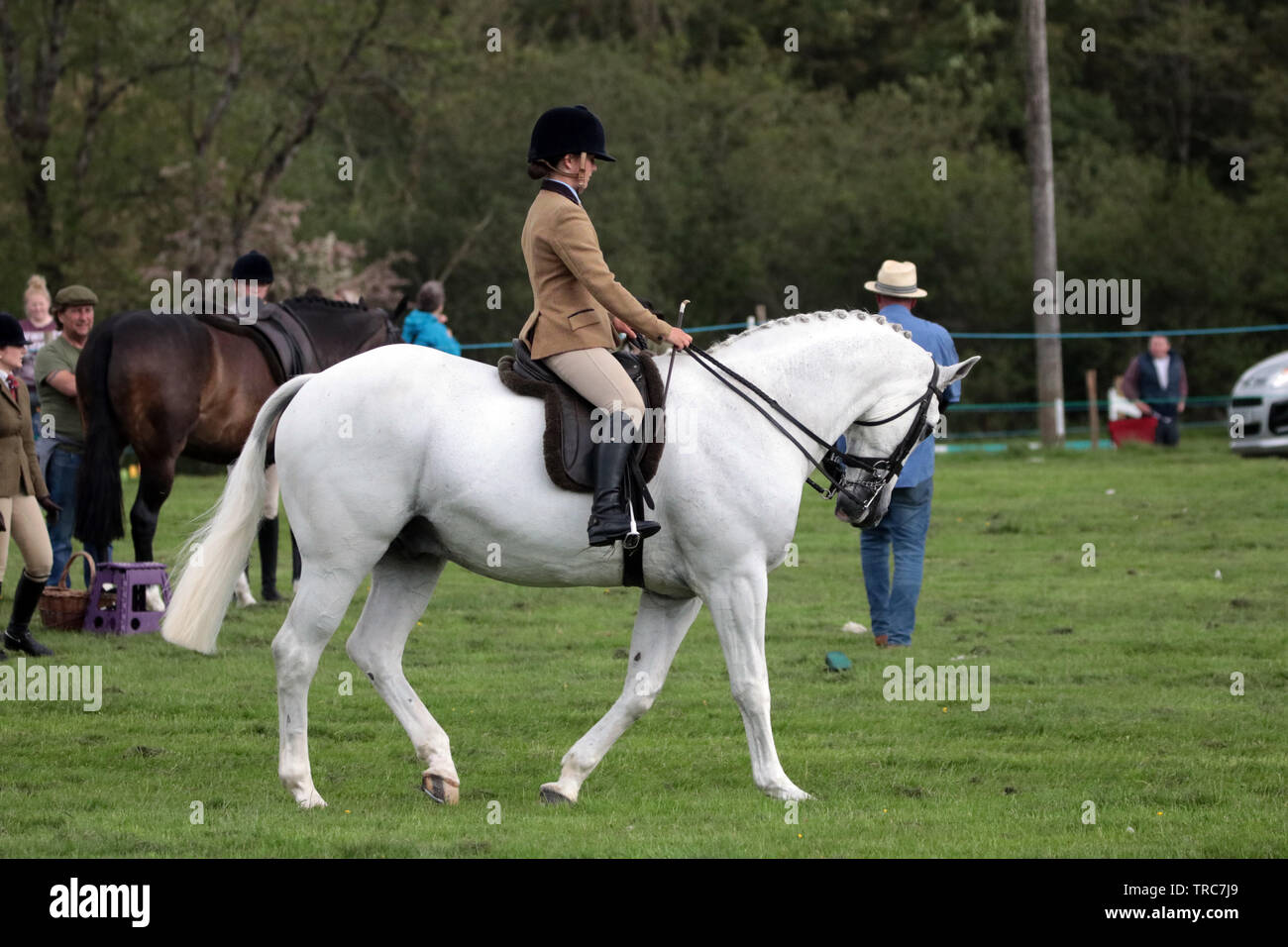 Pontargothi Show 2019 Stock Photo - Alamy