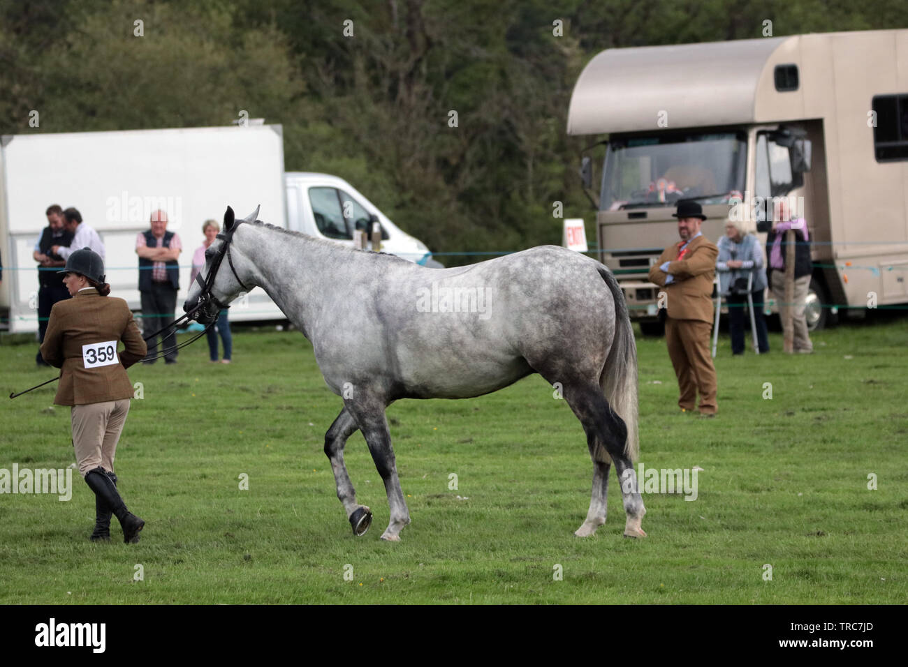 Pontargothi Show 2019 Stock Photo - Alamy