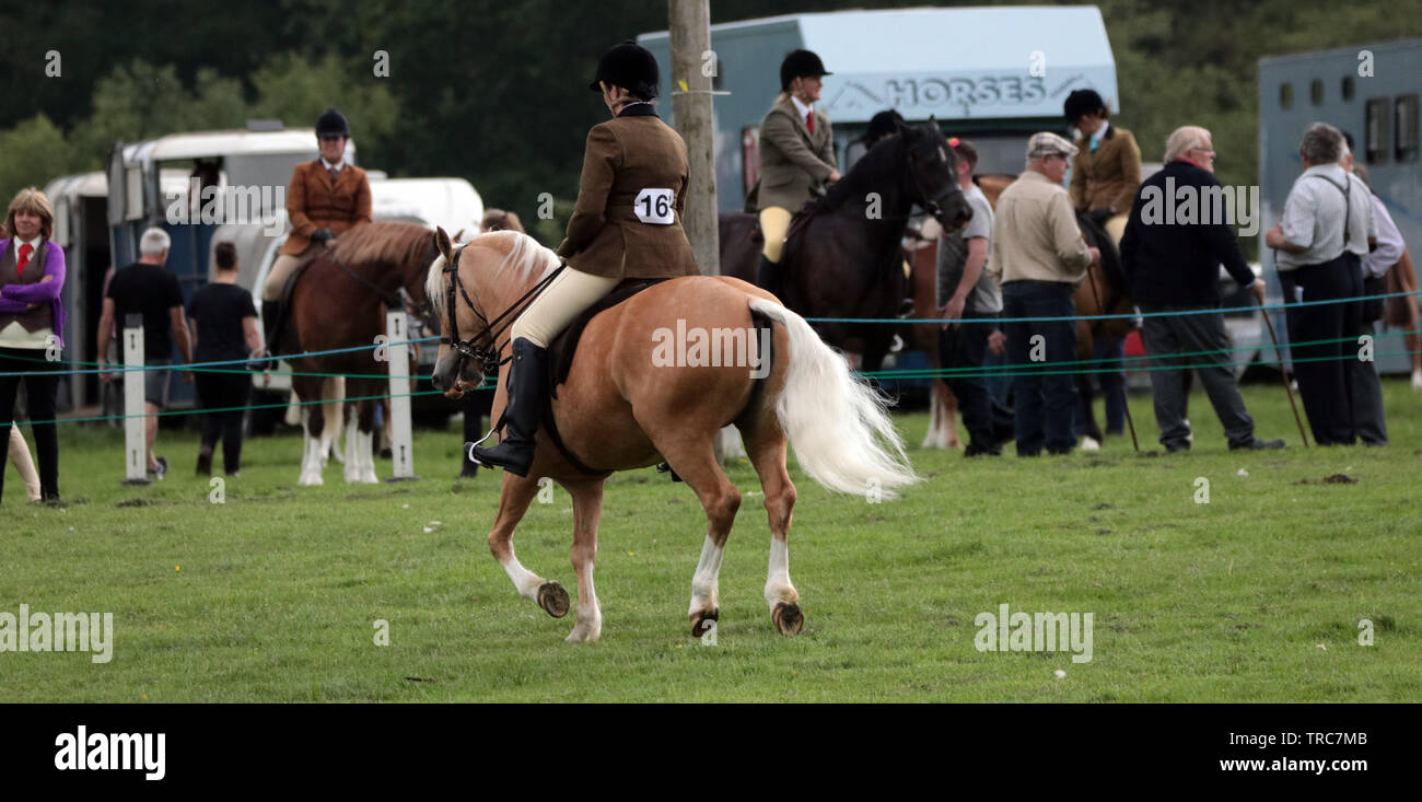 Pontargothi Show 2019 Stock Photo - Alamy