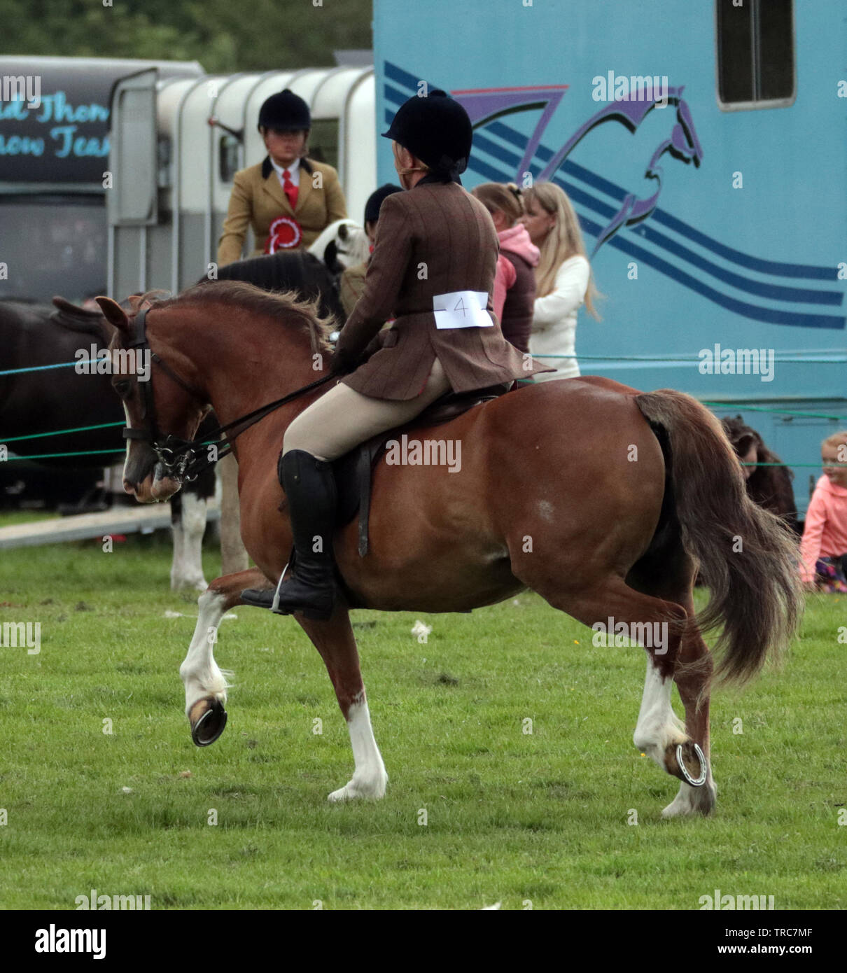 Pontargothi Show 2019 Stock Photo - Alamy