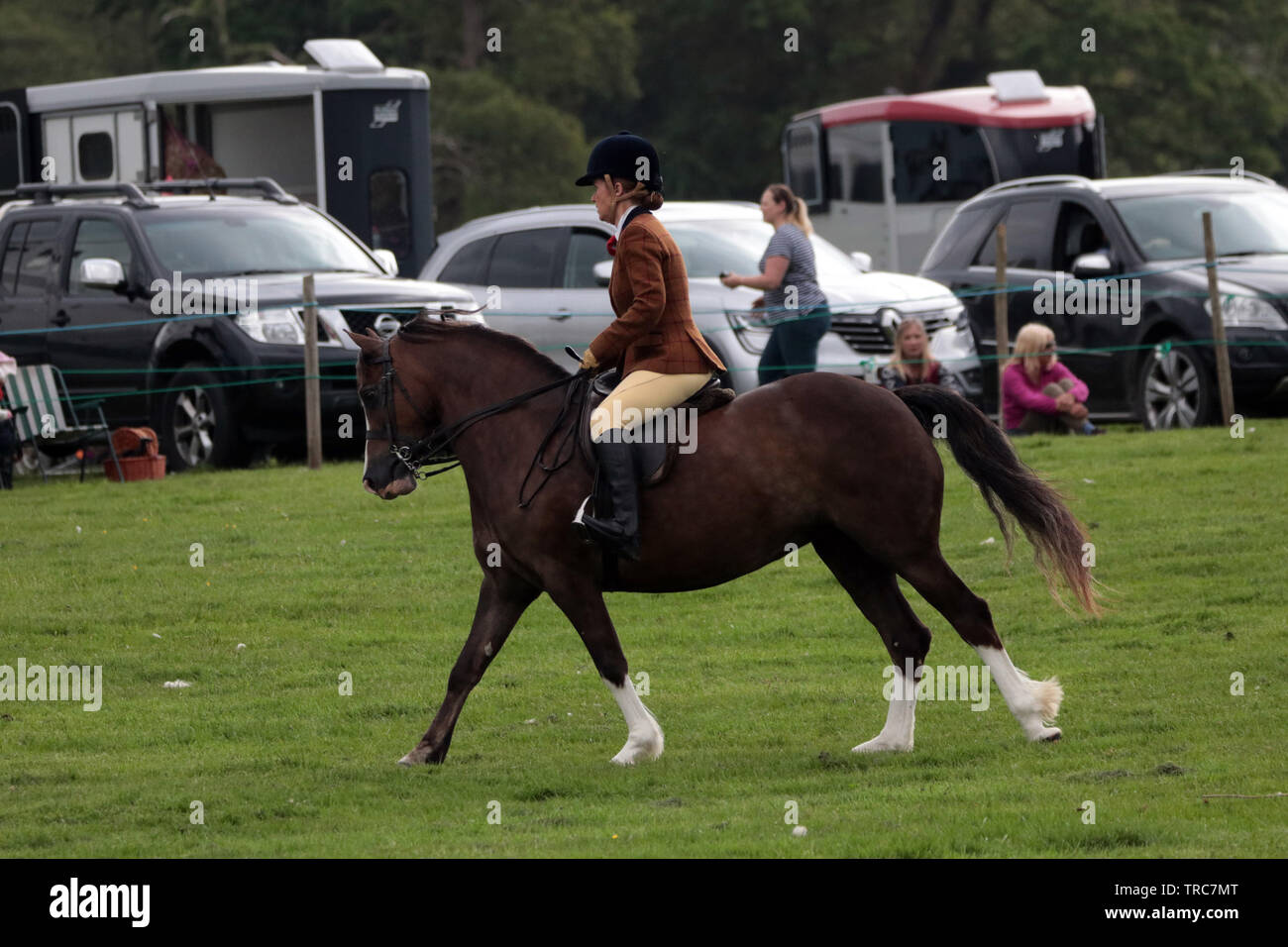 Pontargothi Show 2019 Stock Photo - Alamy