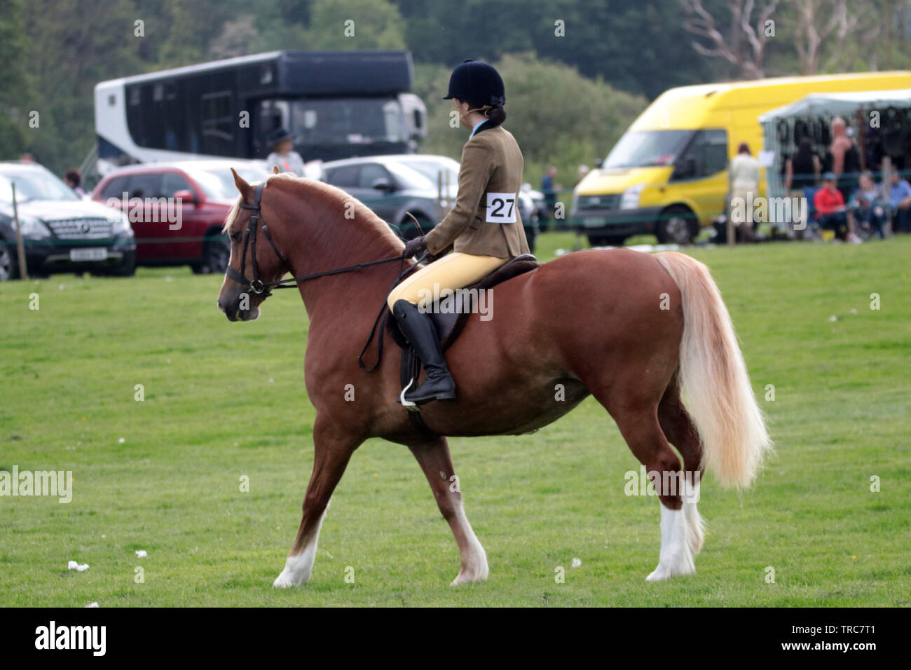 Pontargothi Show 2019 Stock Photo - Alamy