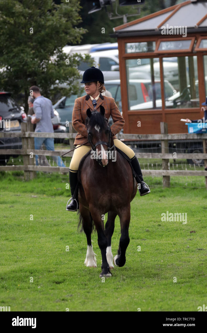 Pontargothi Show 2019 Stock Photo - Alamy