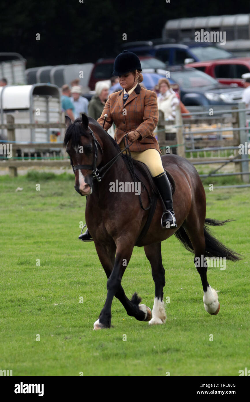 Pontargothi Show 2019 Stock Photo - Alamy