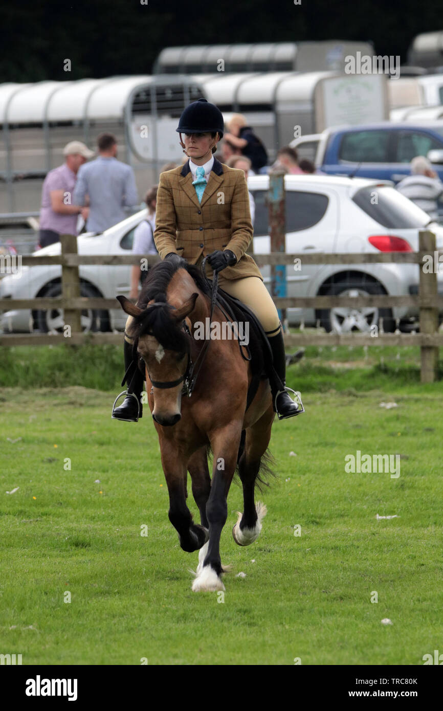 Pontargothi Show 2019 Stock Photo - Alamy