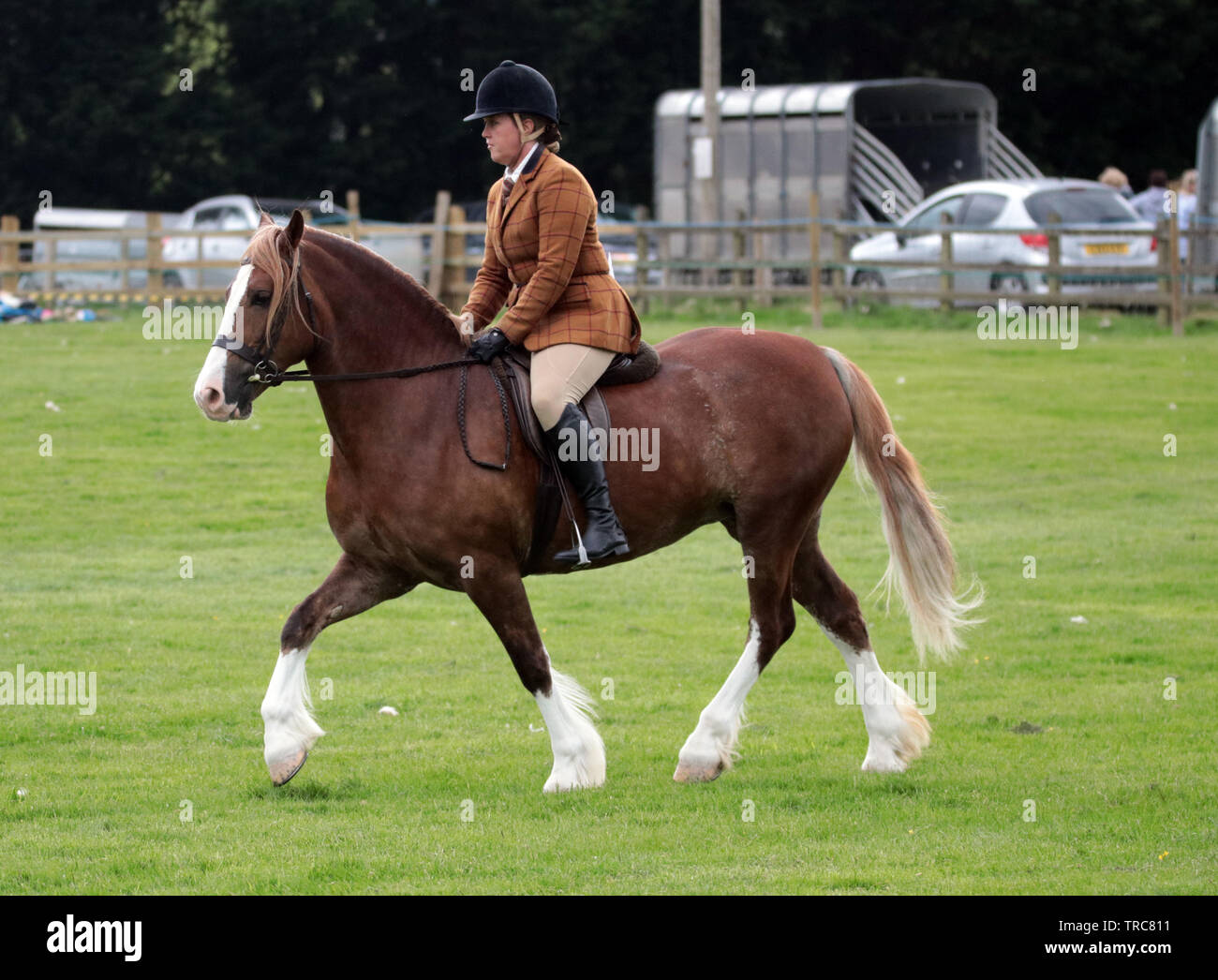 Pontargothi Show 2019 Stock Photo - Alamy