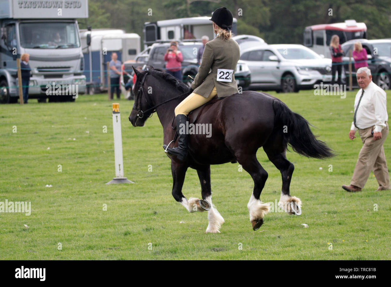 Pontargothi Show 2019 Stock Photo - Alamy