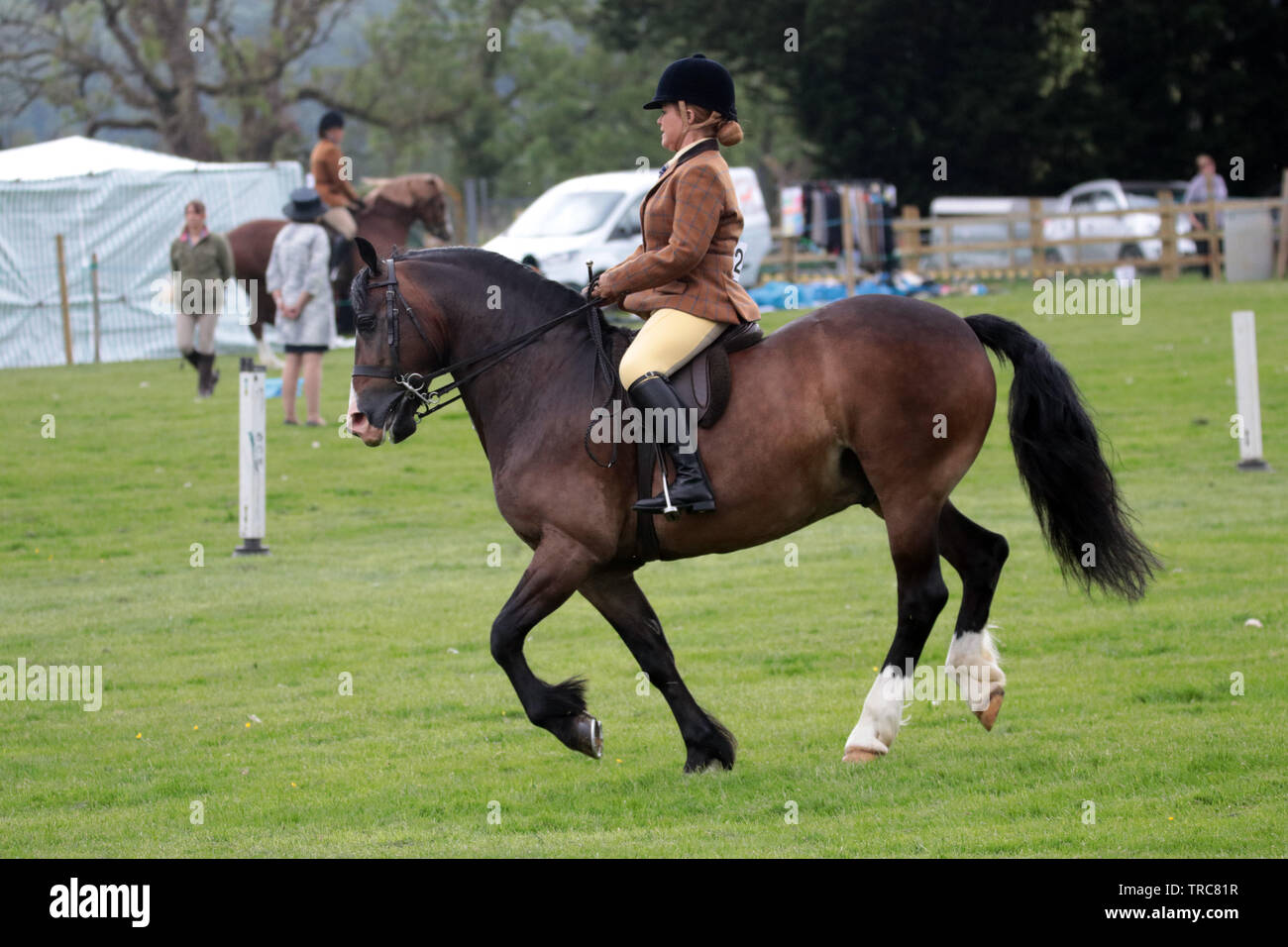 Pontargothi Show 2019 Stock Photo - Alamy