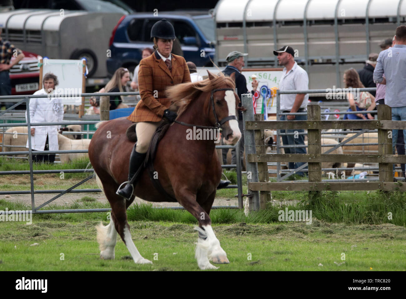 Pontargothi Show 2019 Stock Photo - Alamy