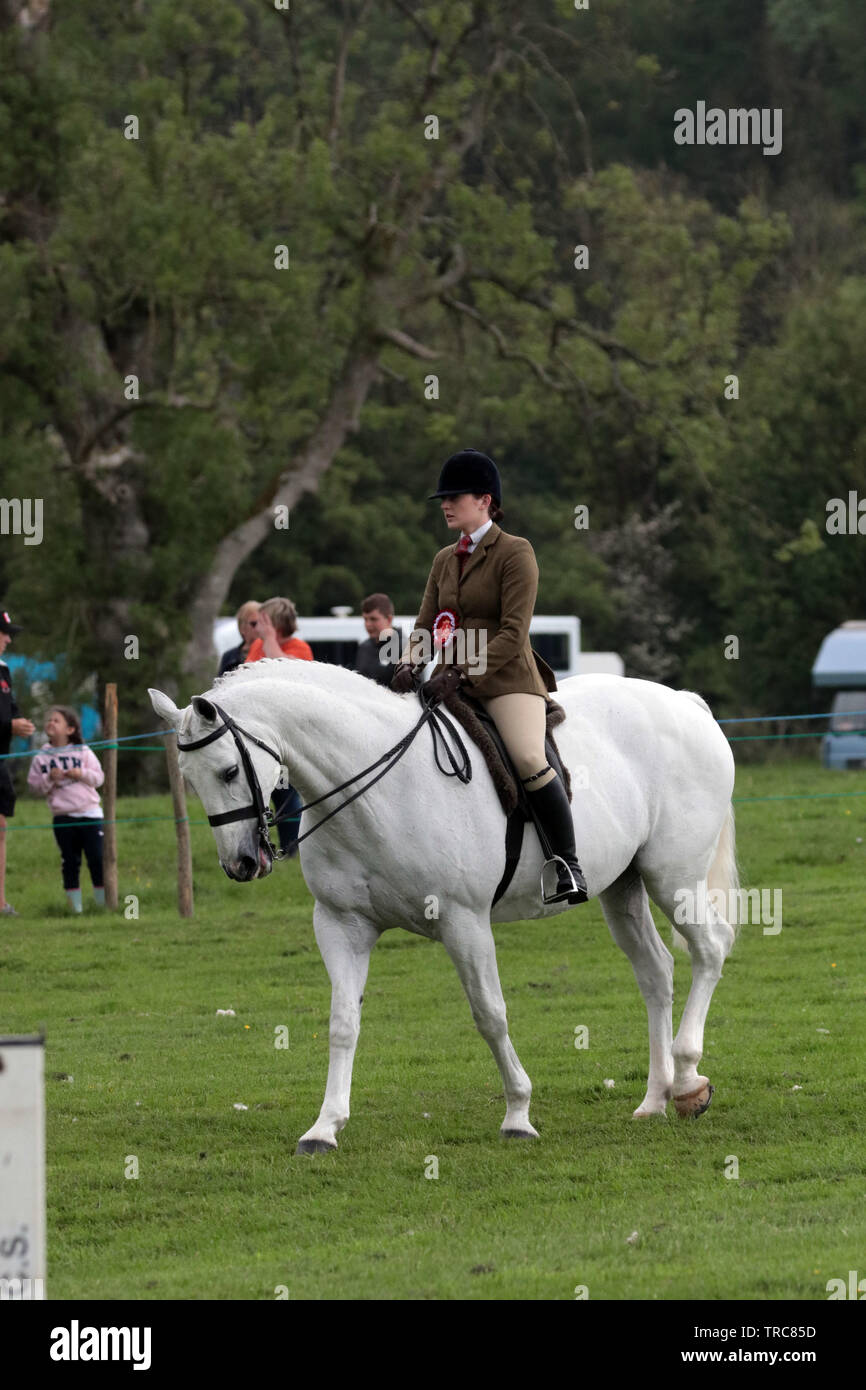 Pontargothi Show 2019 Stock Photo - Alamy