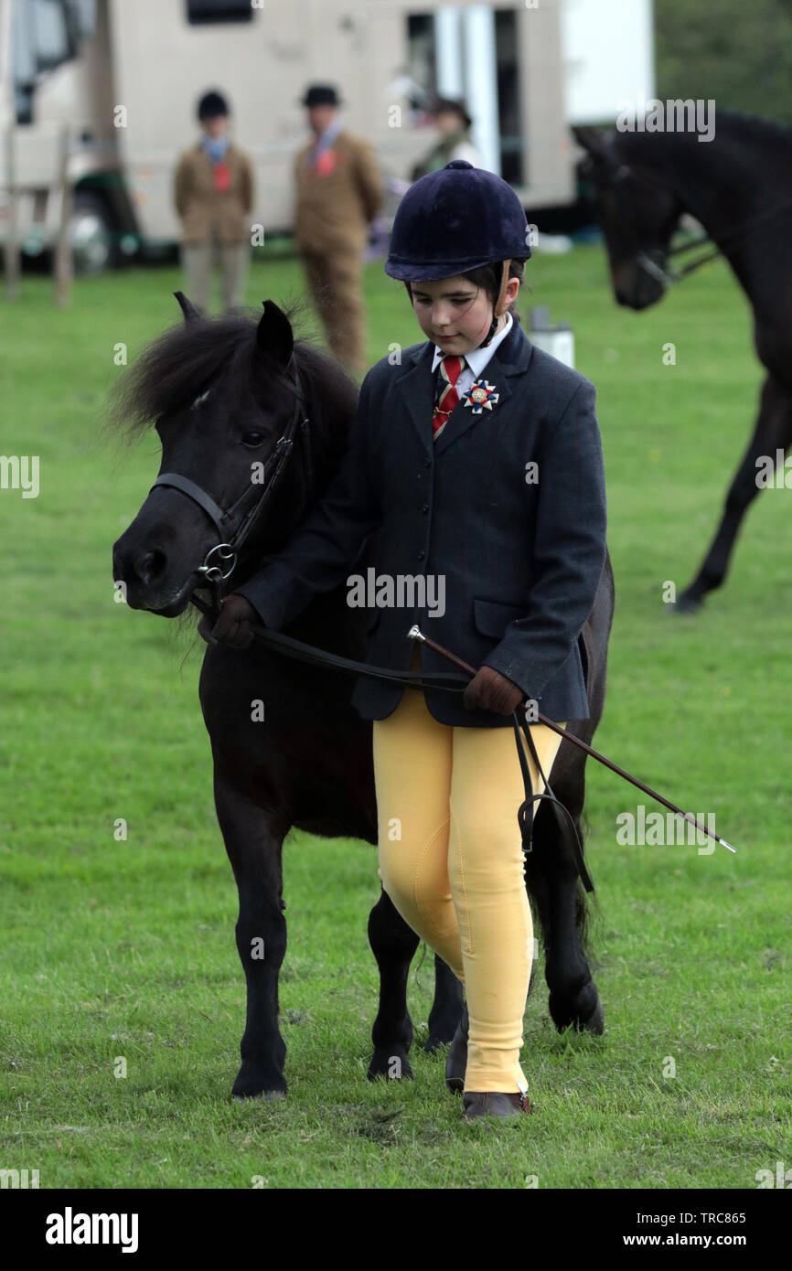 Pontargothi Show 2019 Stock Photo - Alamy