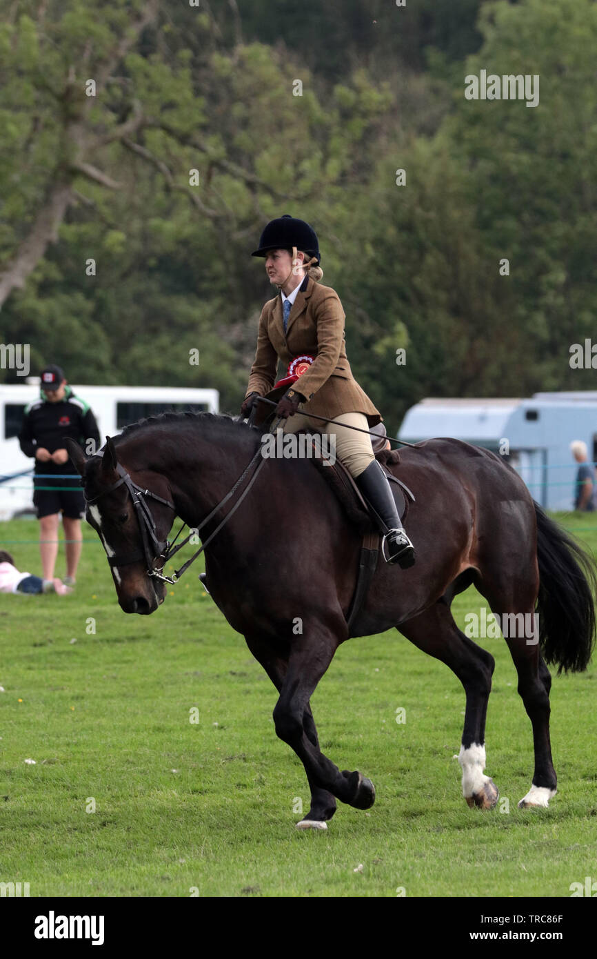 Pontargothi Show 2019 Stock Photo - Alamy