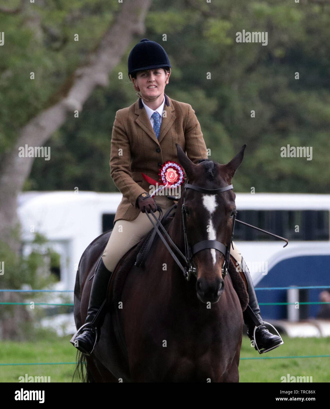 Pontargothi Show 2019 Stock Photo - Alamy