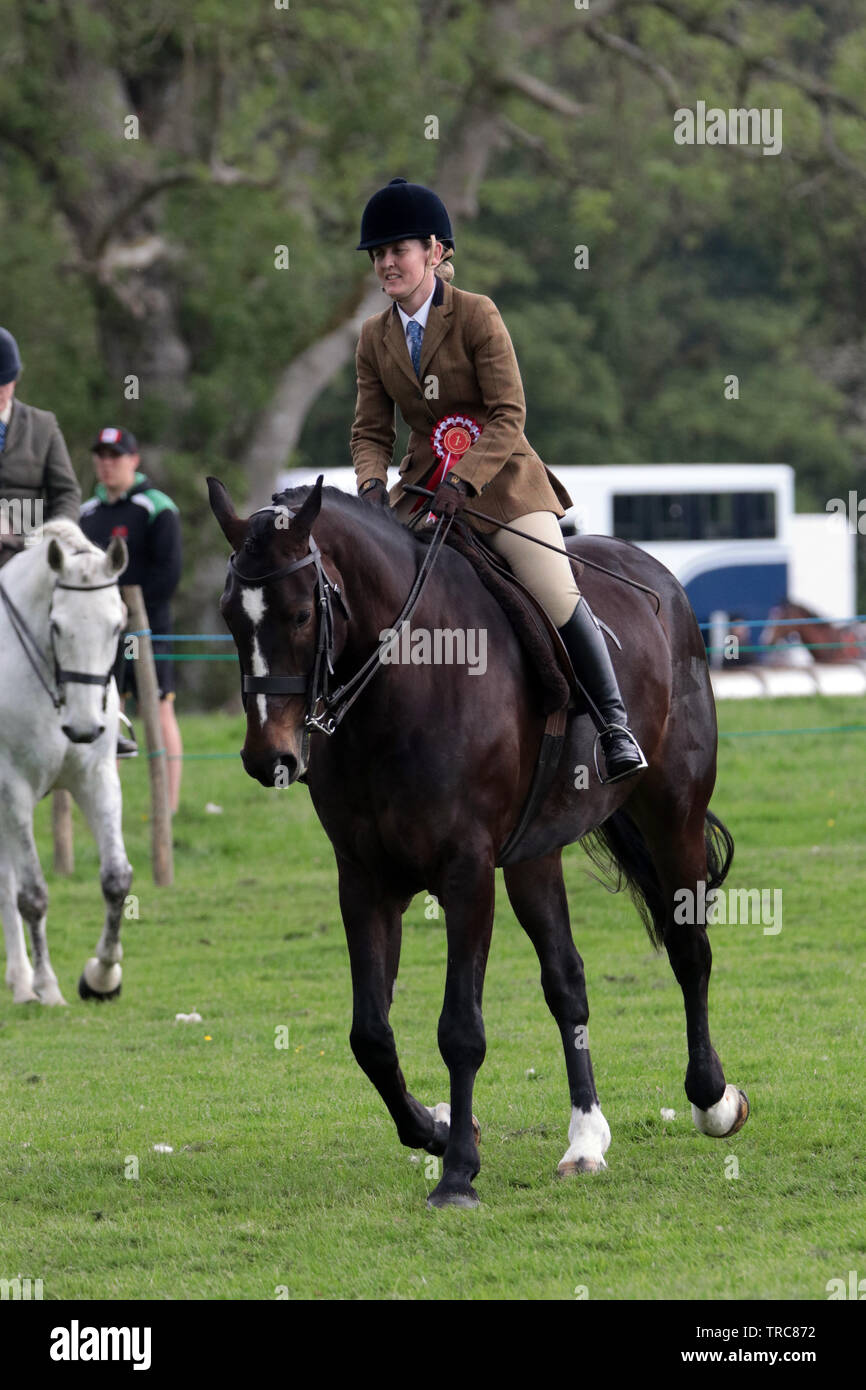 Pontargothi Show 2019 Stock Photo - Alamy