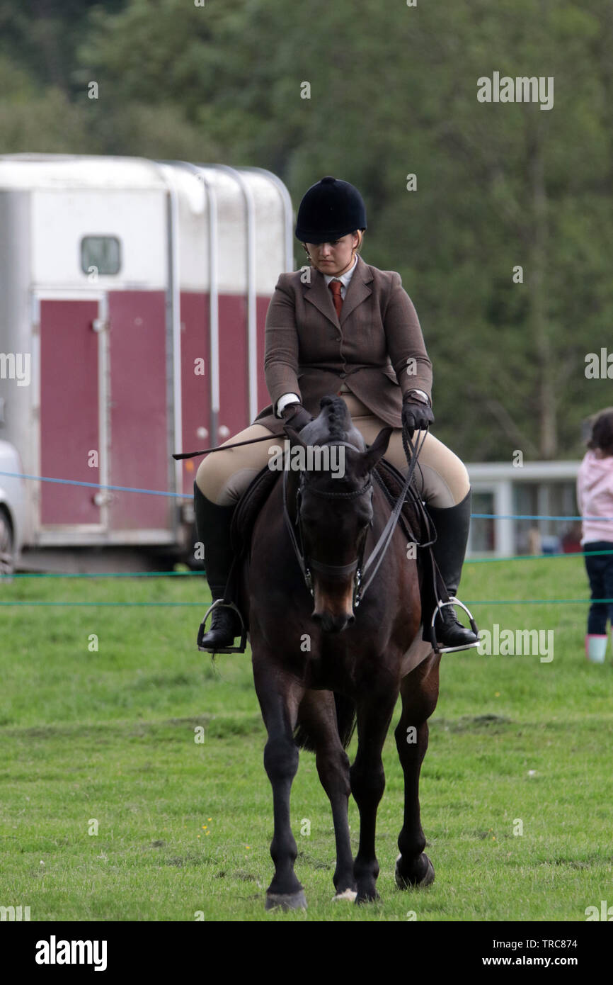 Pontargothi Show 2019 Stock Photo - Alamy