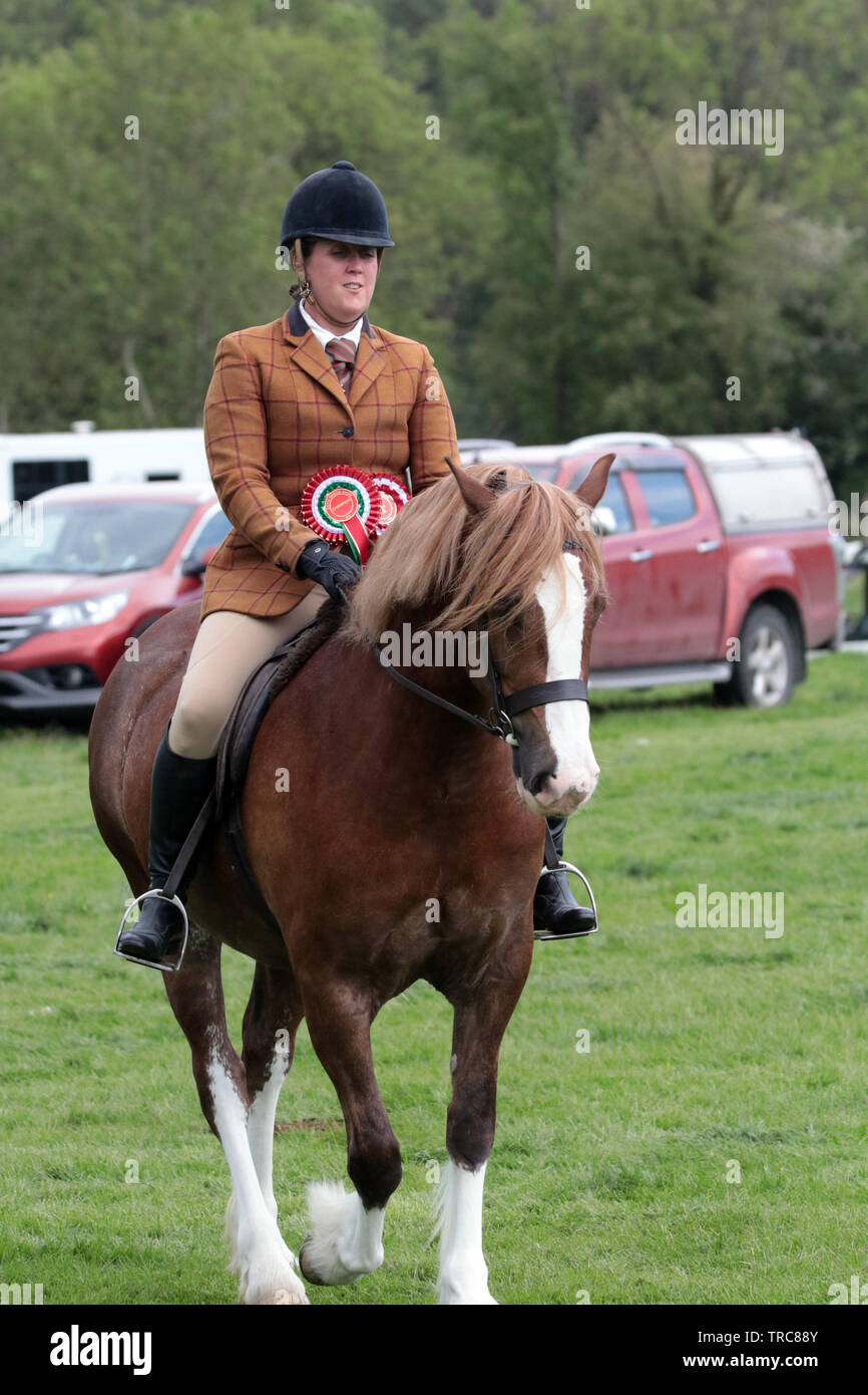 Pontargothi Show 2019 Stock Photo - Alamy