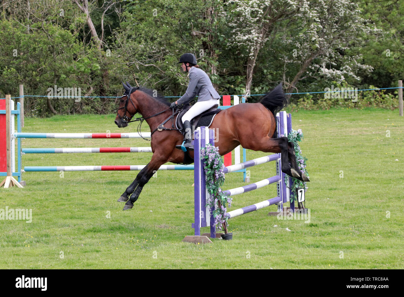 Pontargothi Show 2019 Stock Photo - Alamy