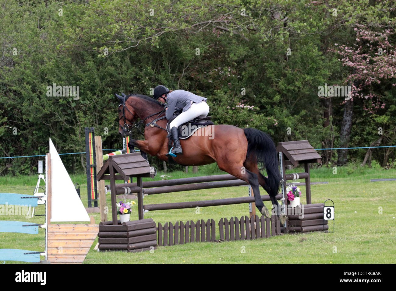 Pontargothi Show 2019 Stock Photo - Alamy