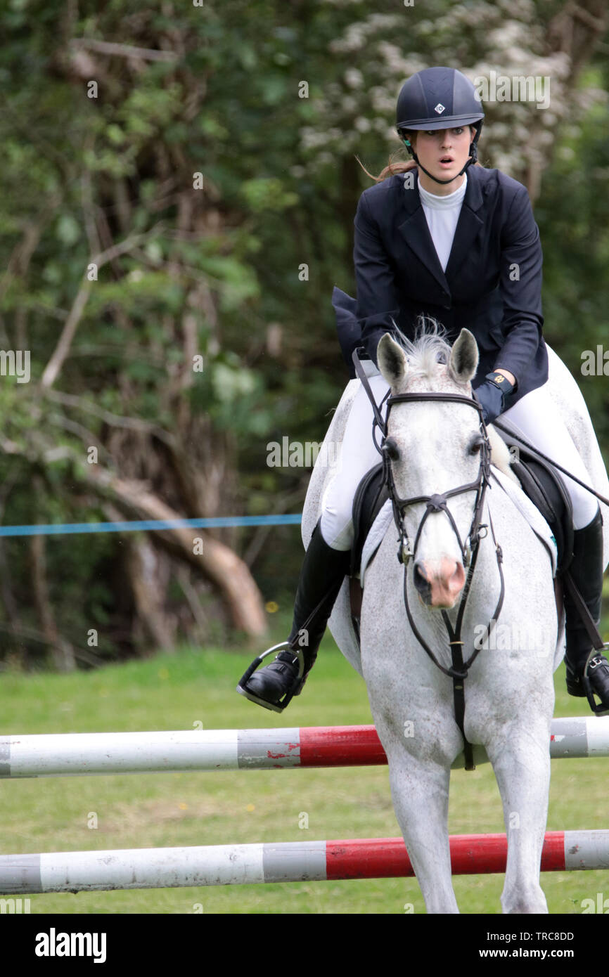 Pontargothi Show 2019 Stock Photo - Alamy