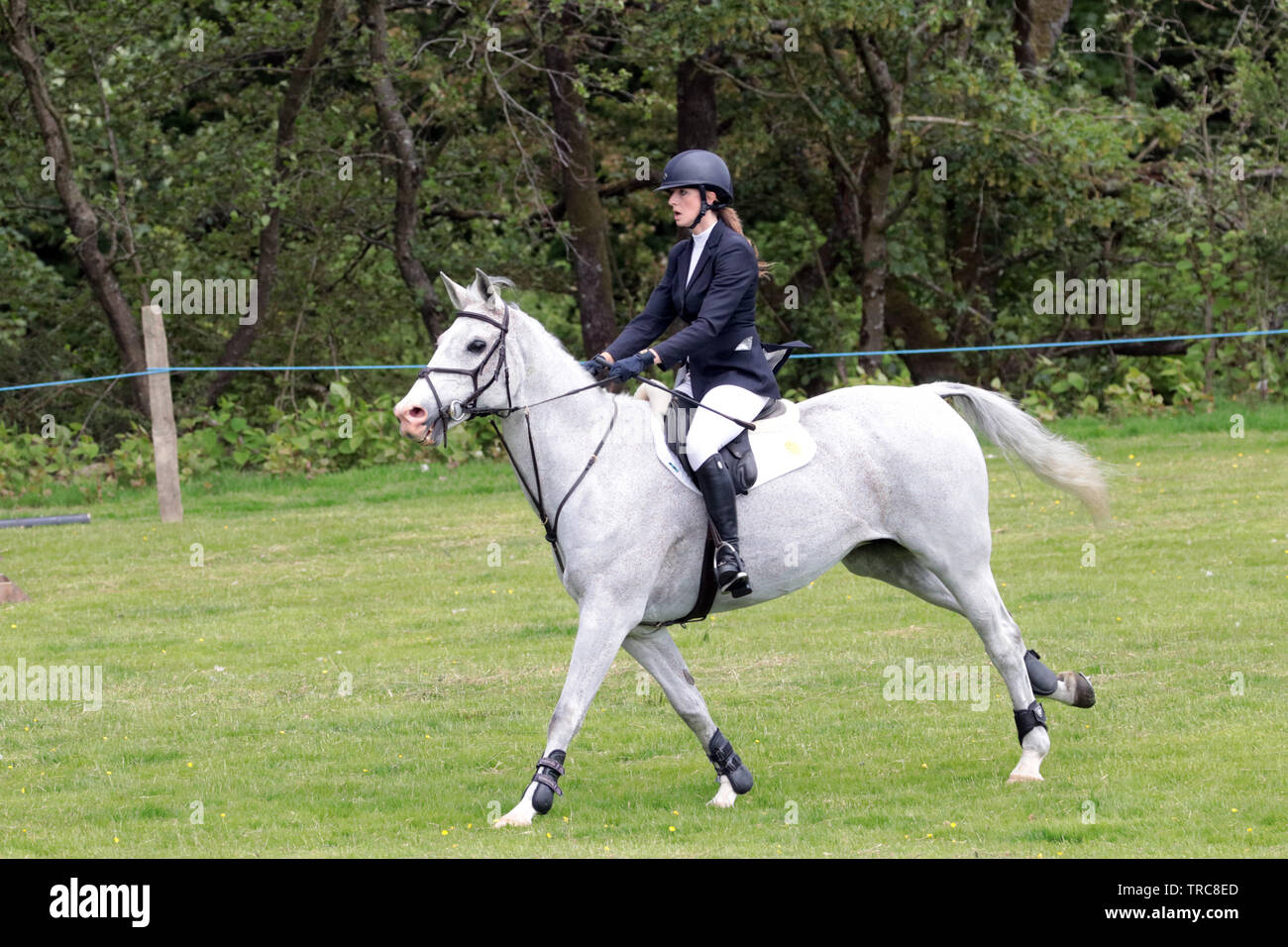 Pontargothi Show 2019 Stock Photo - Alamy