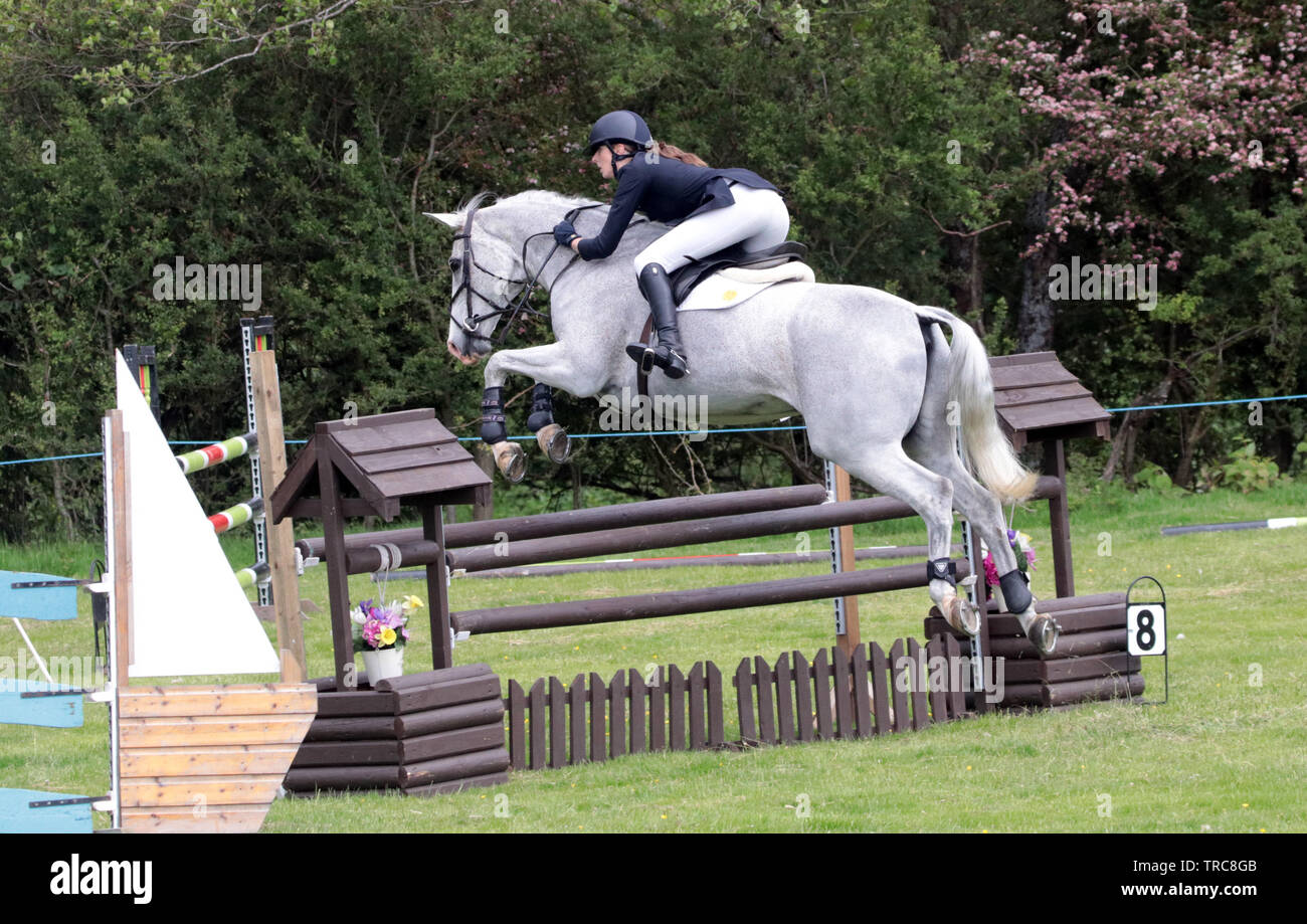 Pontargothi Show 2019 Stock Photo - Alamy