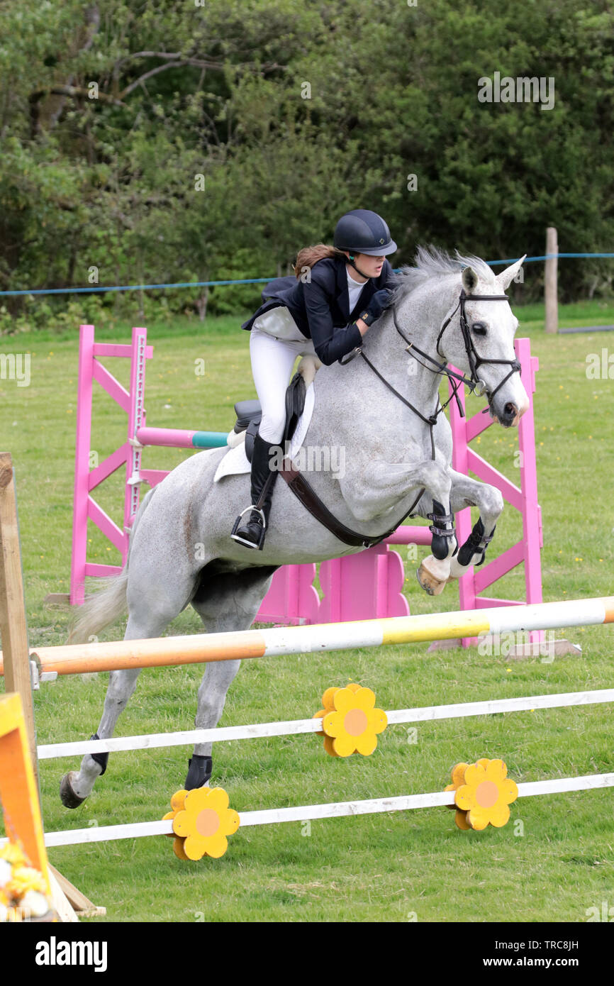 Pontargothi Show 2019 Stock Photo - Alamy
