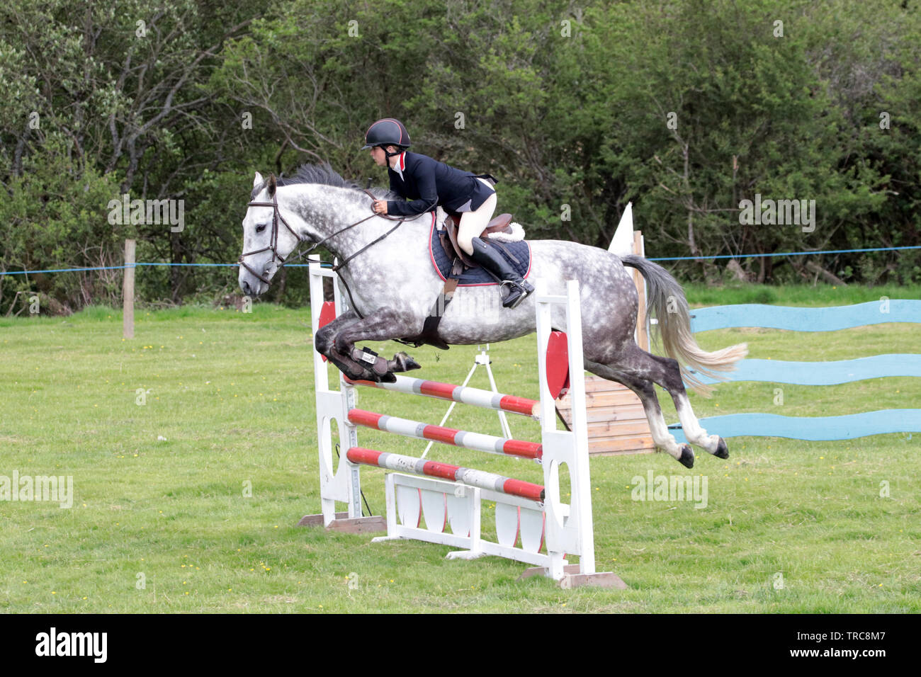 Pontargothi Show 2019 Stock Photo - Alamy